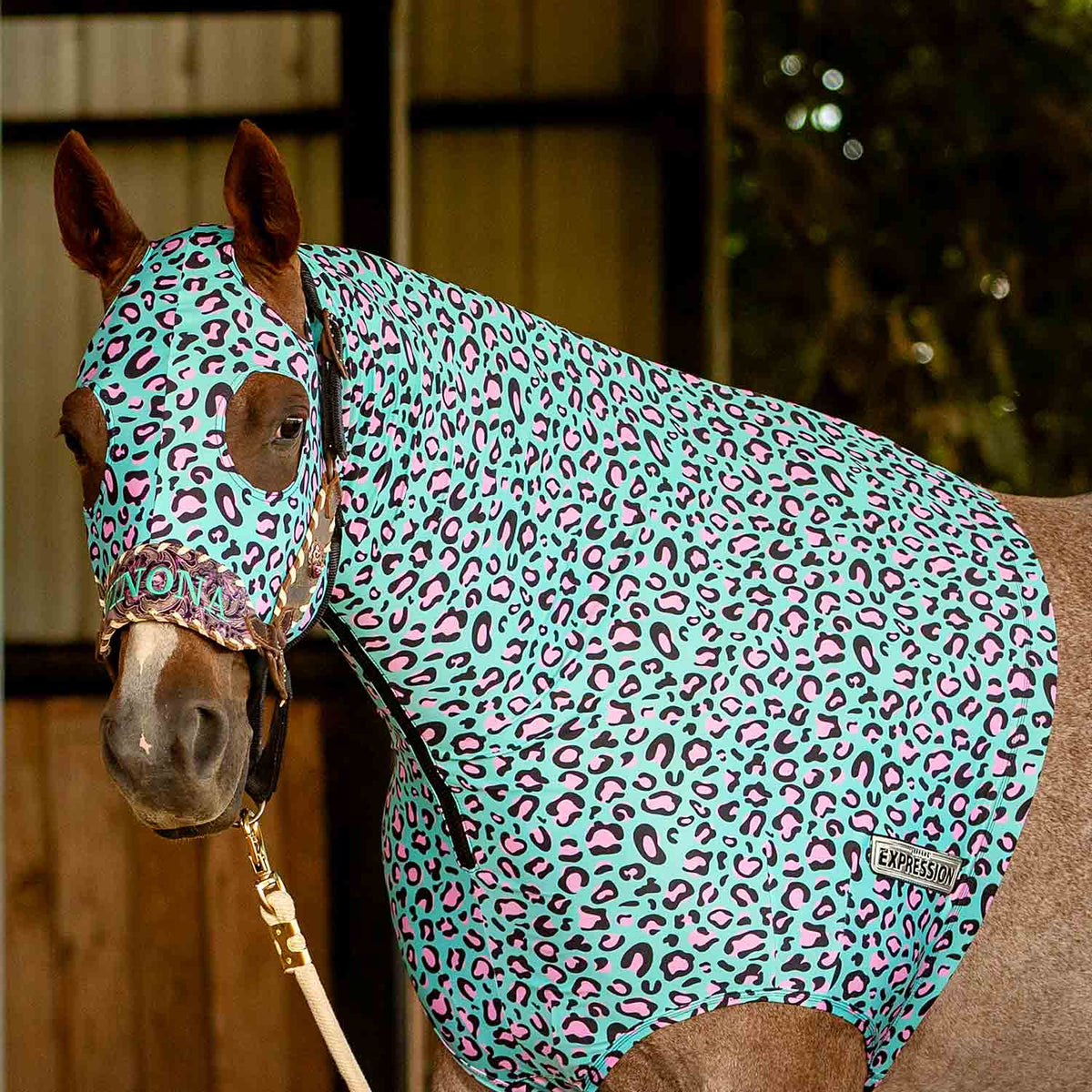 Jeffers Expression Lycra Hood for Horses, Party Cheetah — LVS
