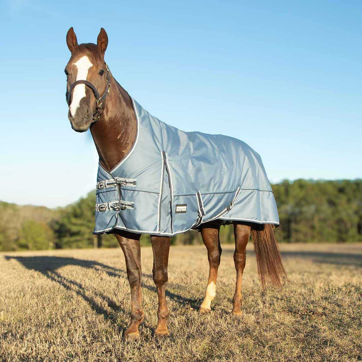 Jeffers Poplar Head Refuge 1200 Denier Turnout Blanket with High Neck ...