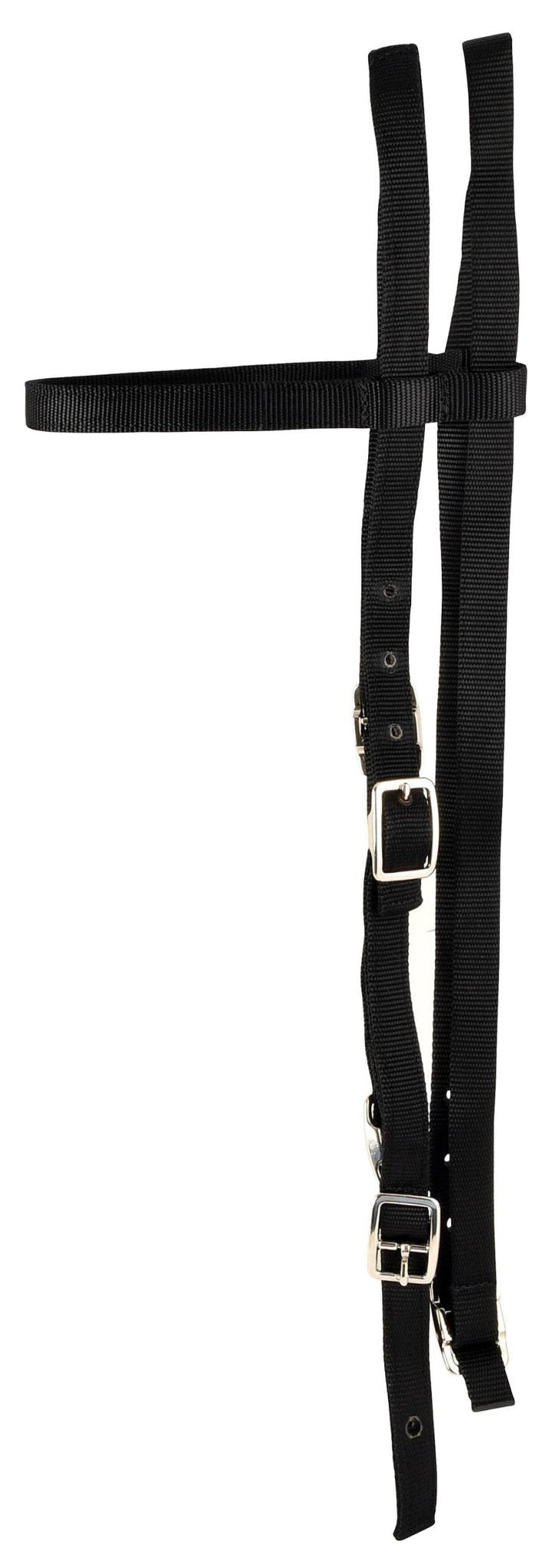 Jeffers Western Nylon Horse Headstall — Lambert Vet Supplies