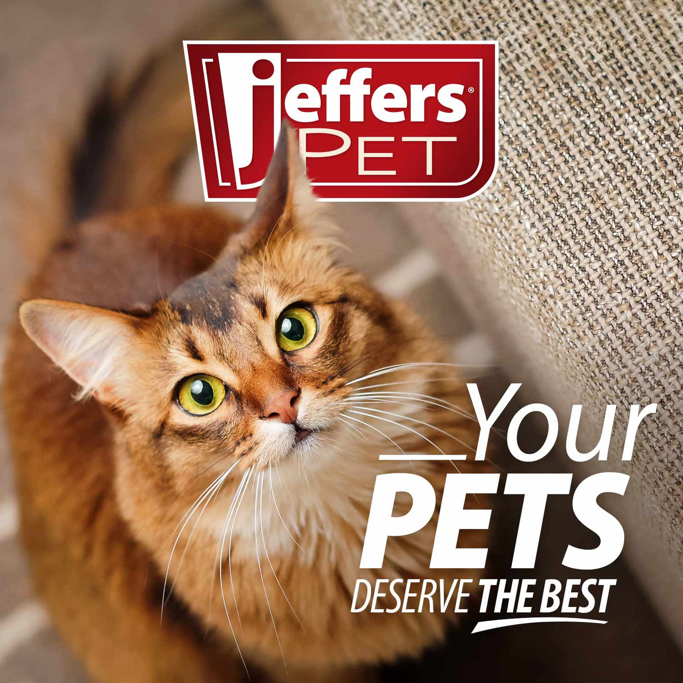 Jeffers Stainless Steel Cat Claw Scissors / Nail Clippers — Lambert Vet ...