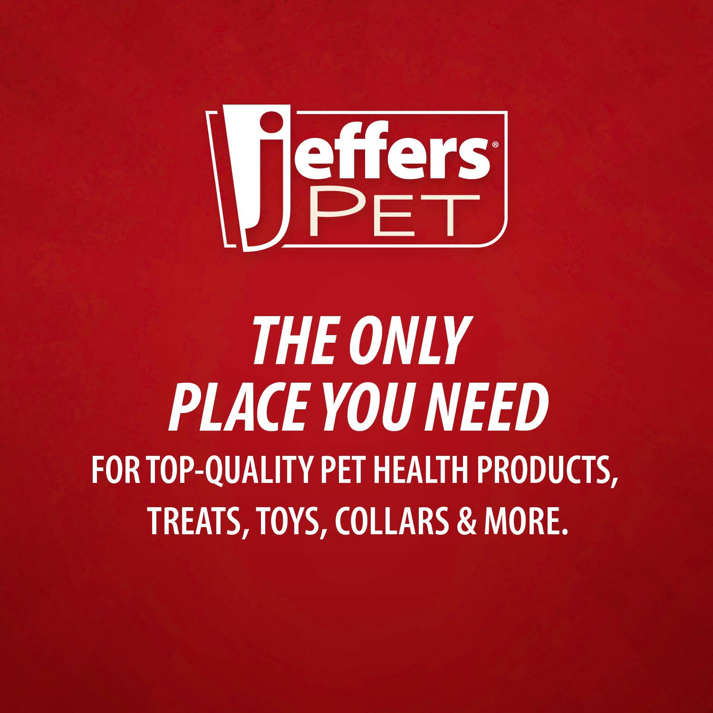 Jeffers Stainless Steel Cat Claw Scissors / Nail Clippers — Lambert Vet ...