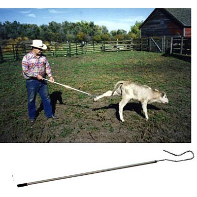 Kalf Katch for Cattle and livestock — Lambert Vet Supplies