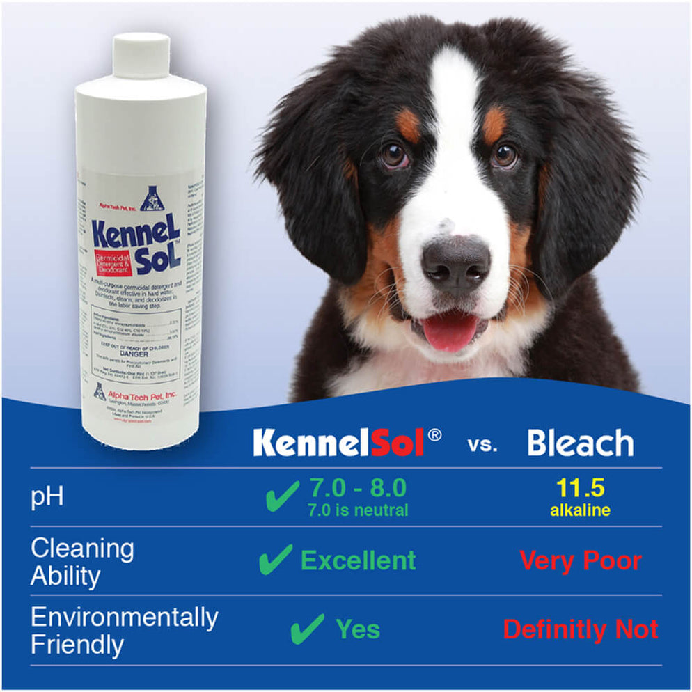 KennelSol Germicidal Pet Detergent & Deodorant — Lambert Vet Supplies