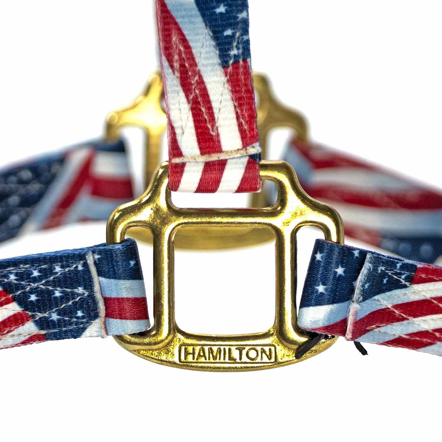 Hamilton - Average Horse Halter W/Flag Pattern - — Lambert Vet Supplies