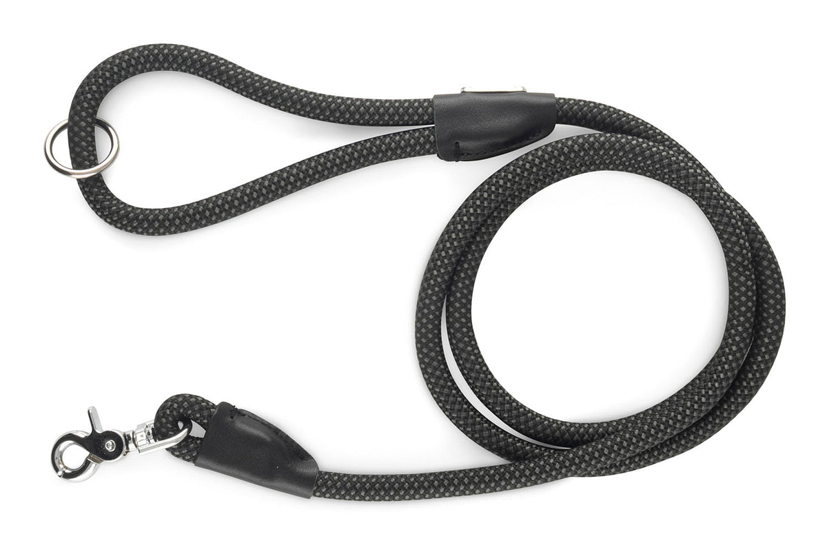 Zippy Paws Mod Essentials Dog Leash, 5 ft — Lambert Vet Supplies