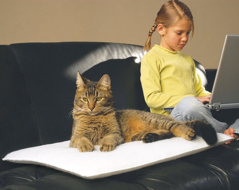 Mysterious Purr Padd, 20" x 20" (2-pack) — Lambert Vet Supplies