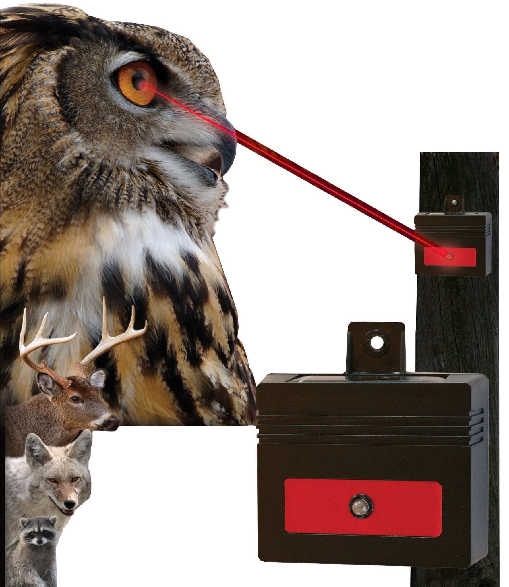 The Original Nite Guard Solar Predator Light — Lambert Vet Supplies