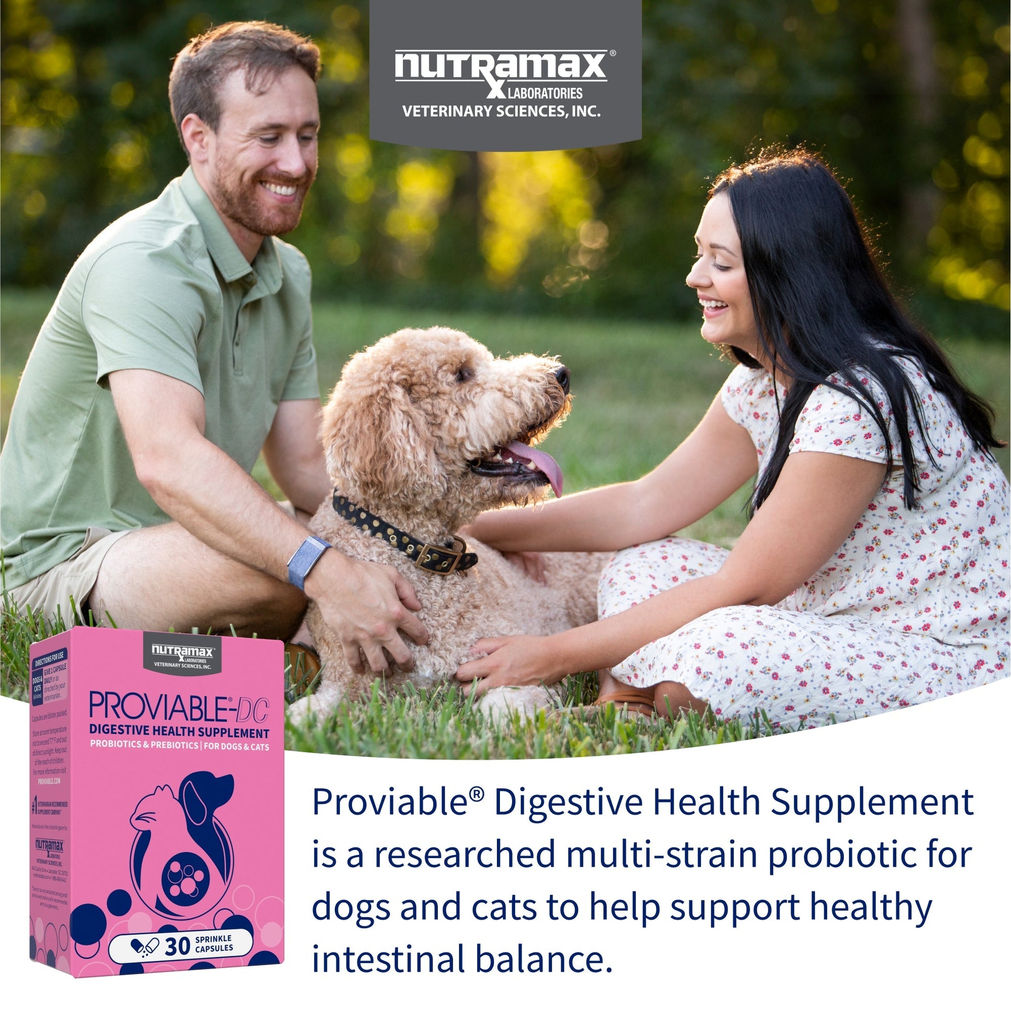 Nutramax Proviable-DC Digestive Supplement for Dogs and Cats — Lambert ...