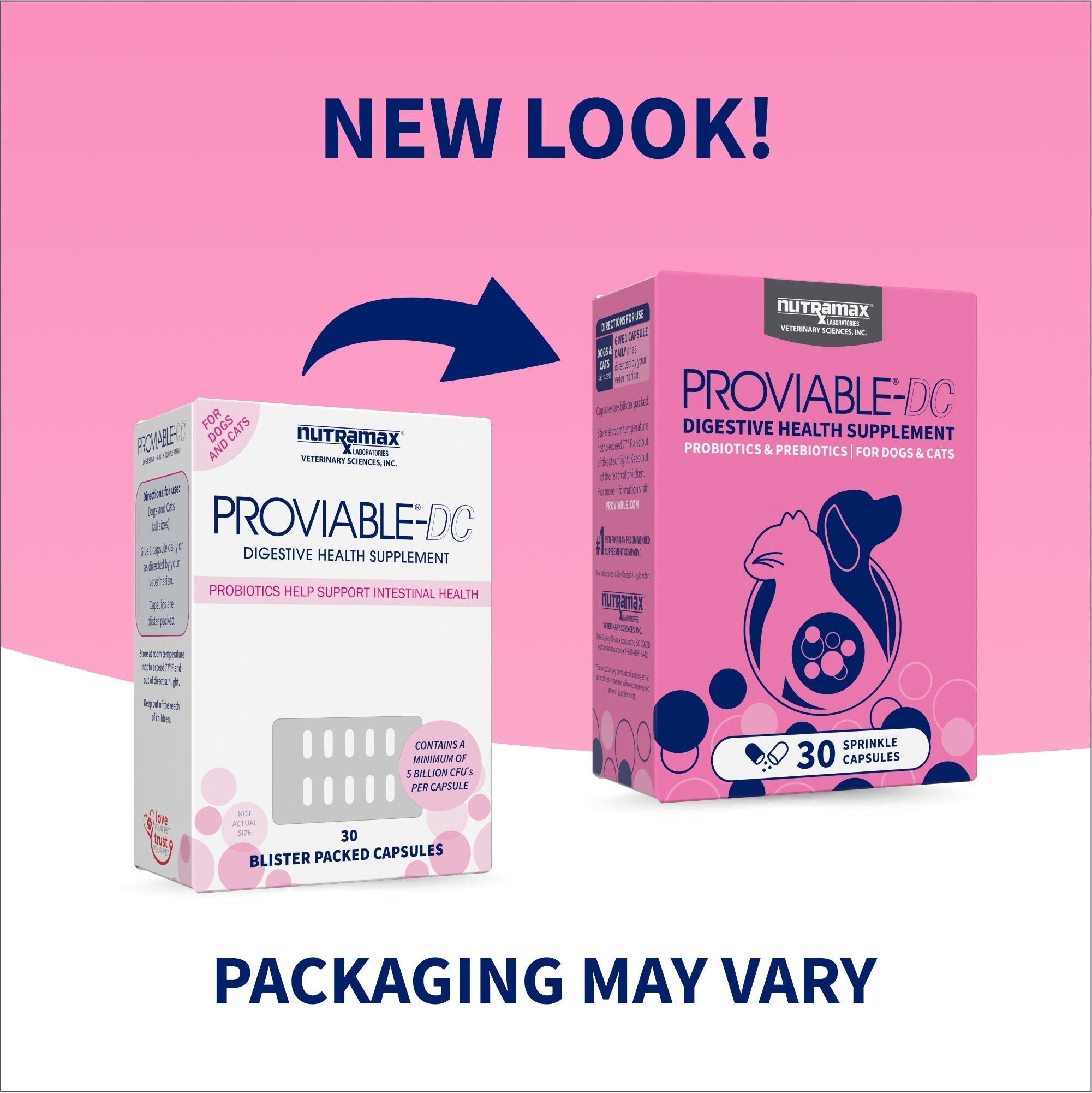 Nutramax Proviable-DC Digestive Supplement for Dogs and Cats — Lambert ...