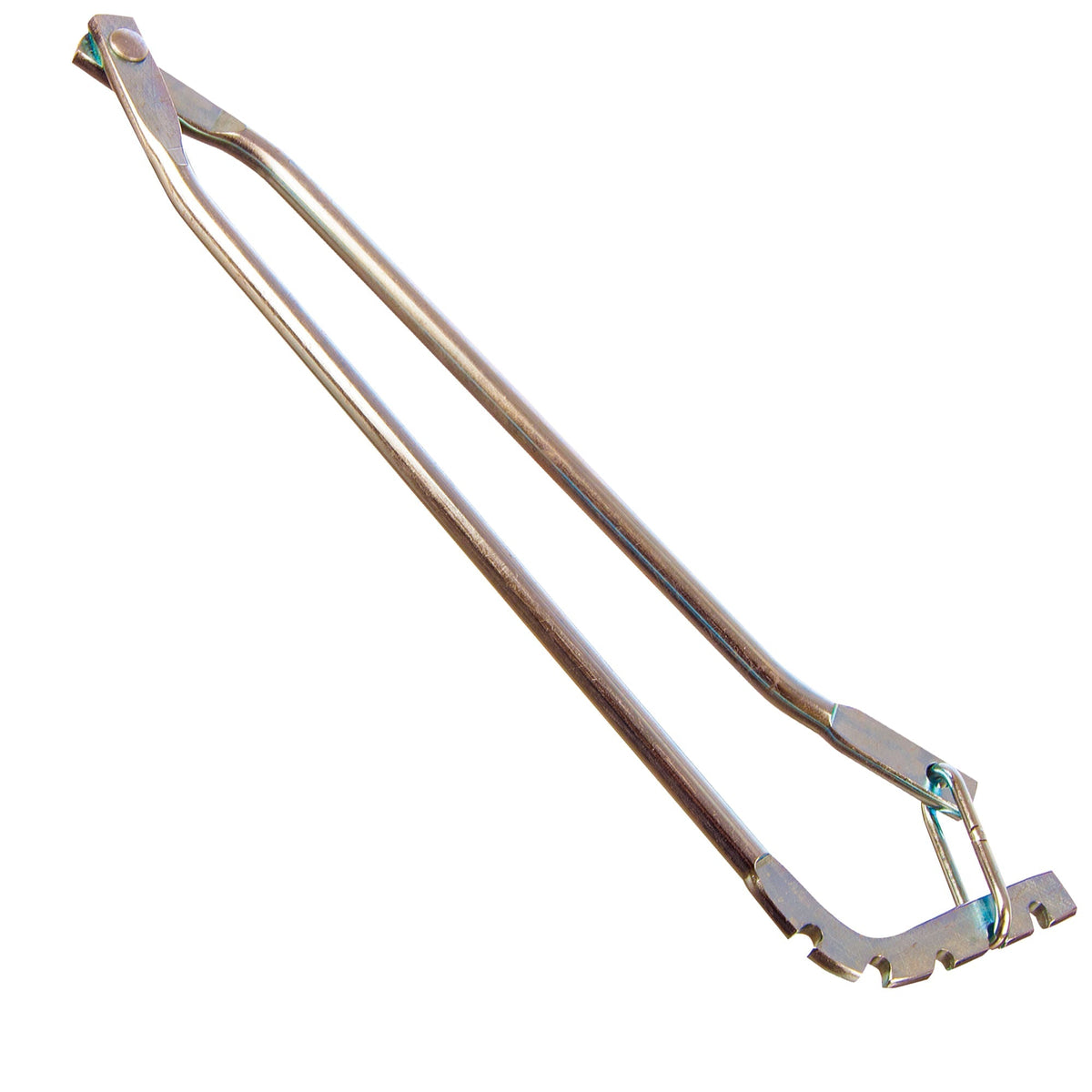 One-Man Horse Twitch from Jeffers — Lambert Vet Supplies