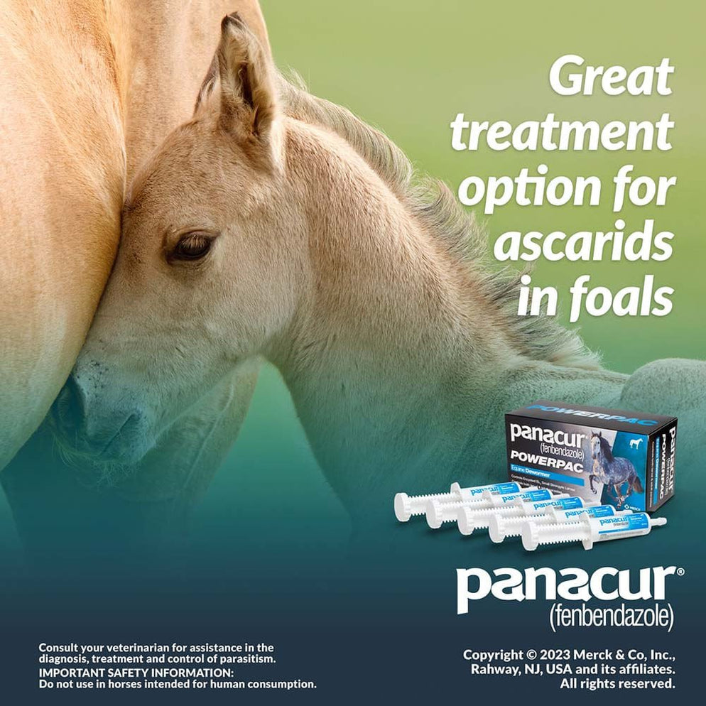 Panacur Powerpac Horse Dewormer, 5 (57 gram) tubes — Lambert Vet Supplies