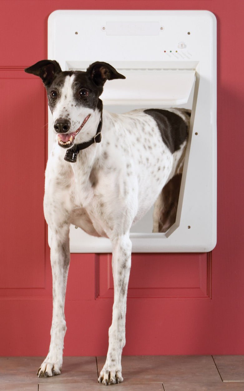 PetSafe Electronic Smart Dog Door, Large — Lambert Vet Supplies