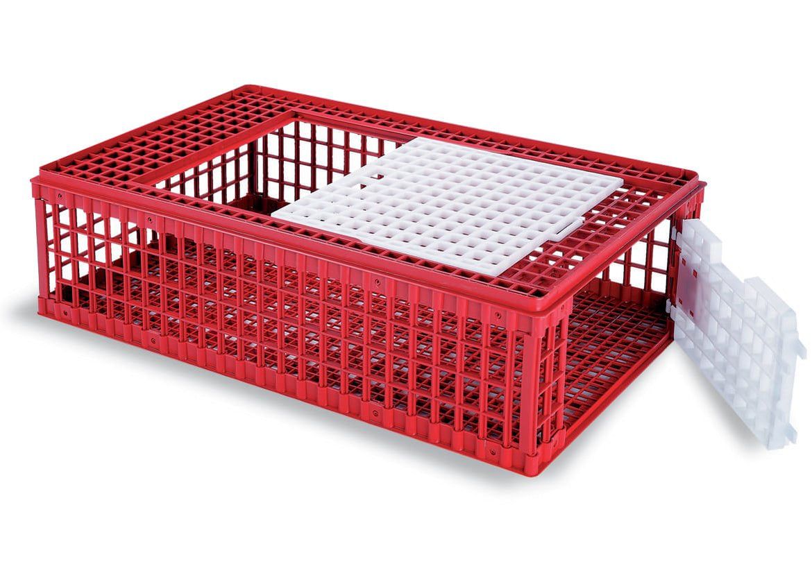 Poultry Shipping Crate | Plastic Chicken Crate — Lambert Vet Supplies