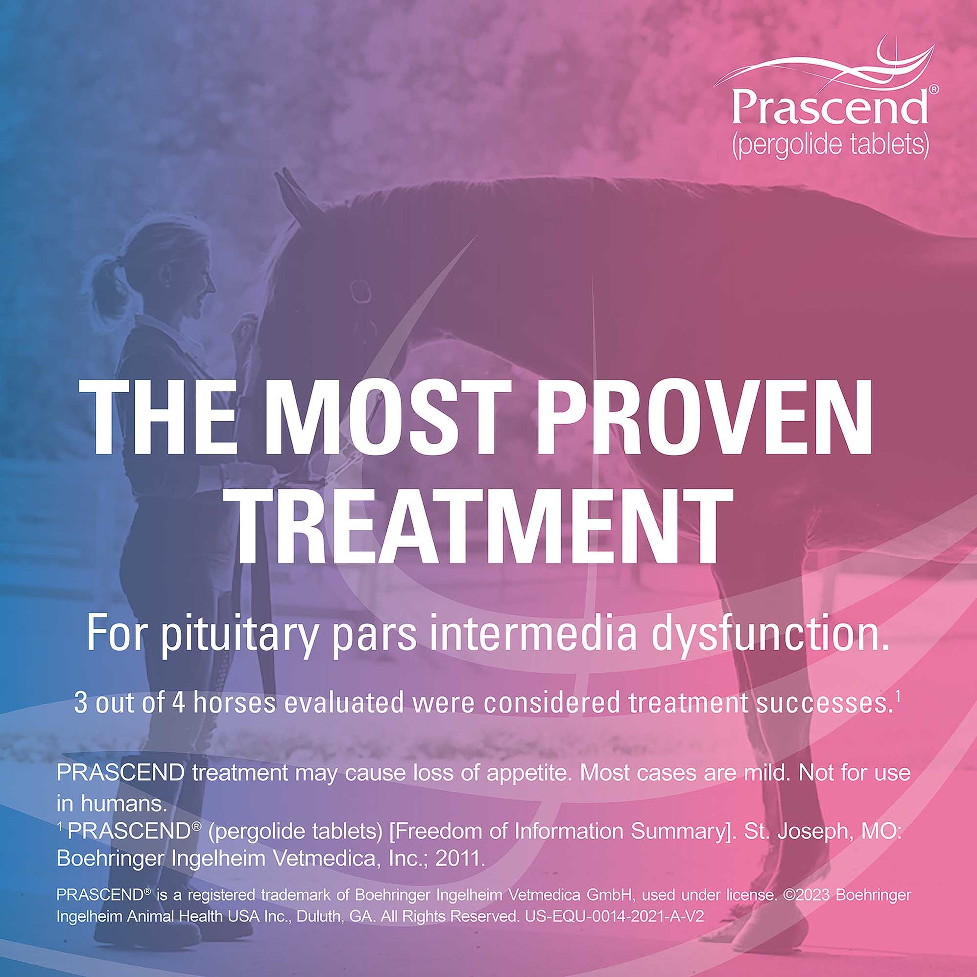 Prascend for Horses, 1 mg Tablet — Lambert Vet Supplies