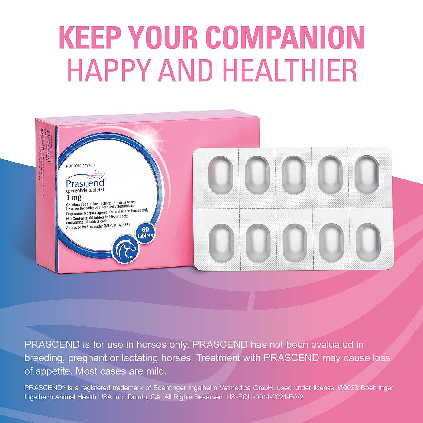 Prascend for Horses, 1 mg Tablet — Lambert Vet Supplies