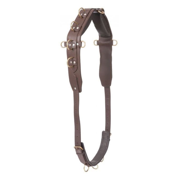 Professional Heavy Leather Surcingle for Horses — Lambert Vet Supplies