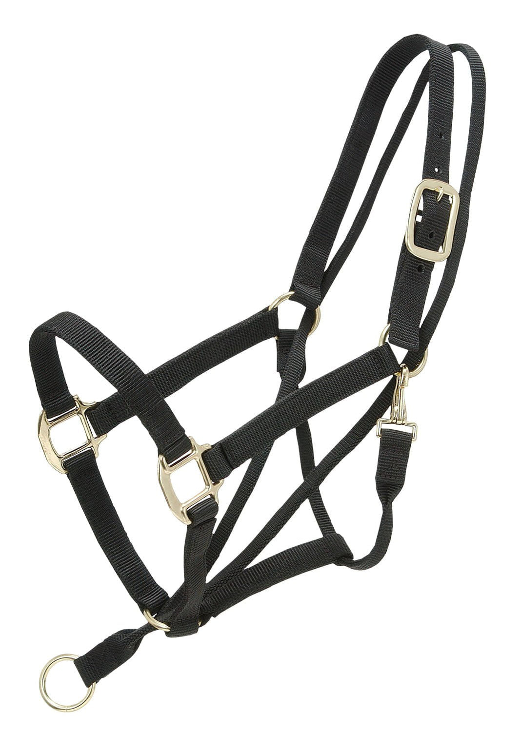 Pull-Back Halter for Horses — Lambert Vet Supplies