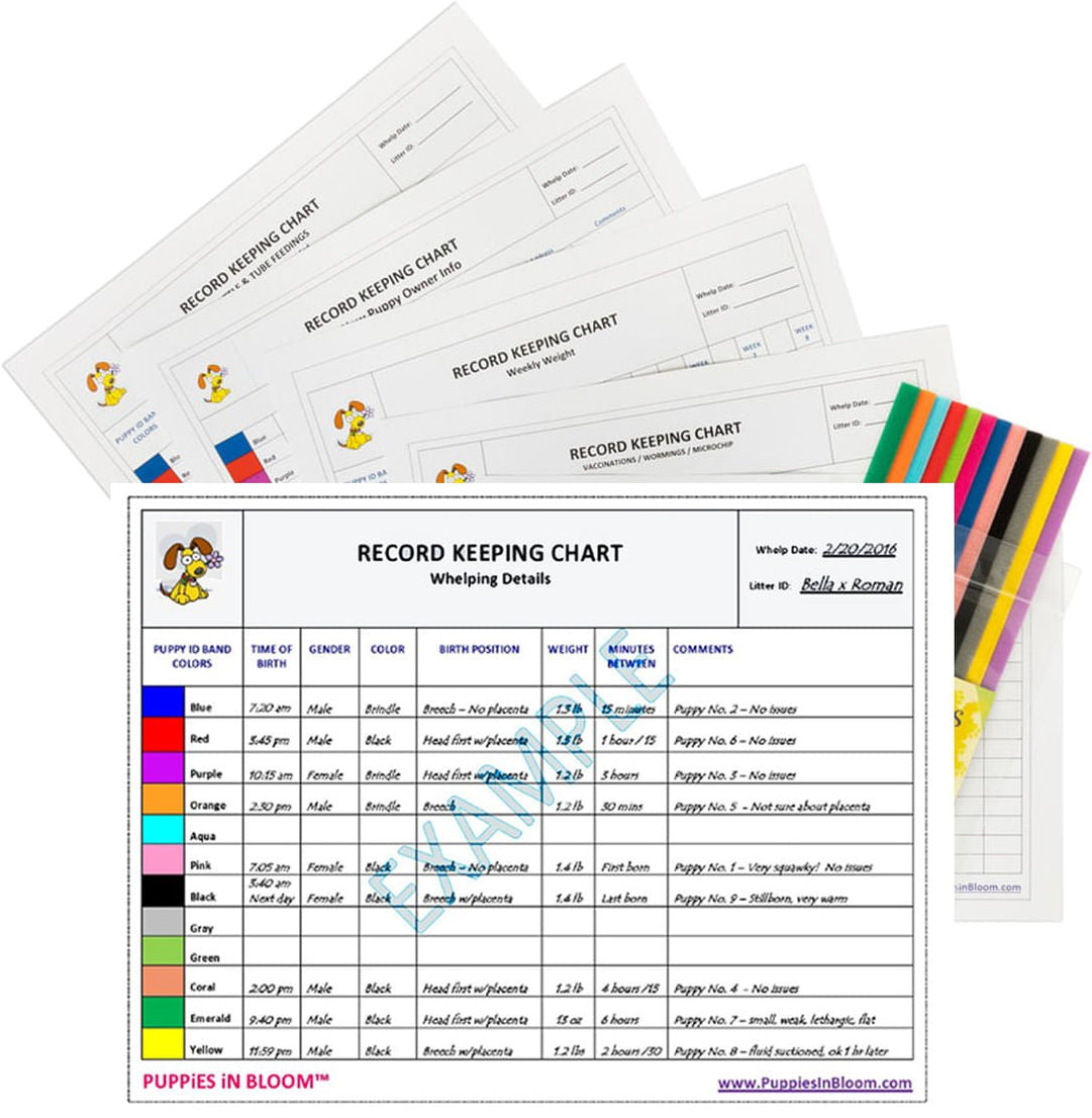 Puppies in Bloom Record Keeping Charts for Breeders — Lambert Vet Supplies