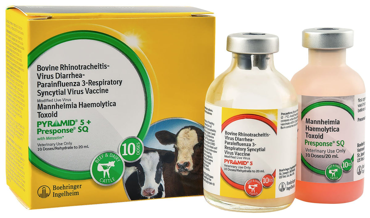 Pyramid 5 + Presponse SQ Cattle Vaccine for BRD — Lambert Vet Supplies