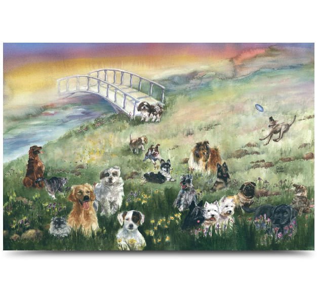 Rainbow Bridge Pet Sympathy Cards — Lambert Vet Supplies
