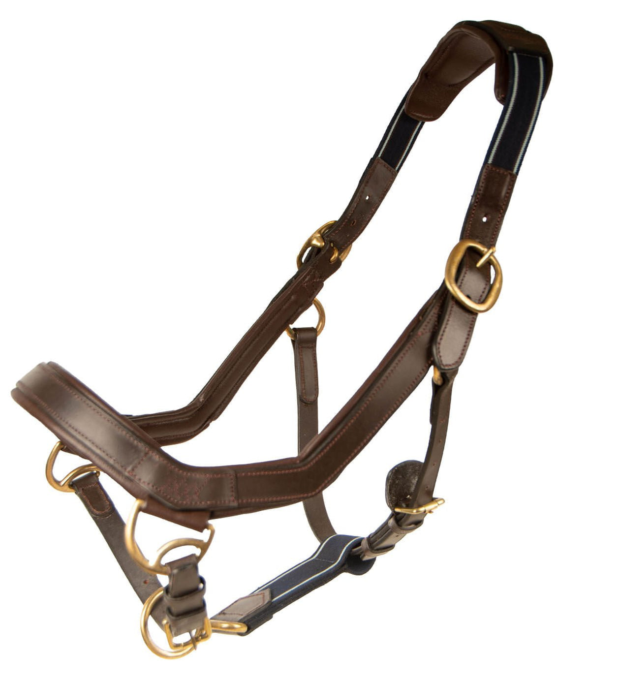 Rambo Micklem Leather Horse Halter, Black/Brown — Lambert Vet Supplies