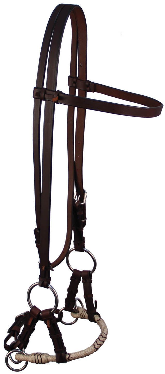 Rawhide Nose Side Pull for Horses — Lambert Vet Supplies