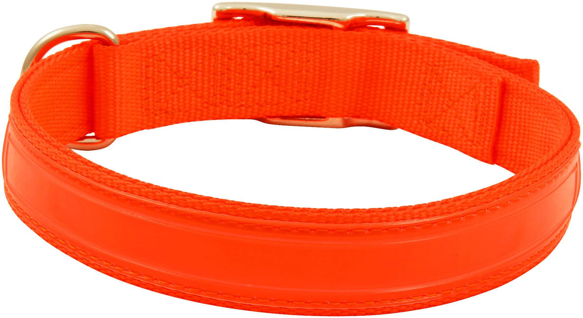 Reflective Hound Collar by Remington — LVS