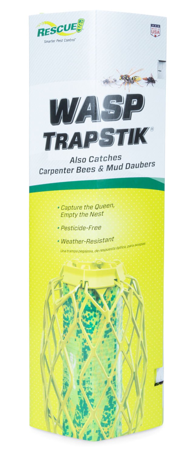 Rescue TrapStik for Carpenter Bees, Wasps & Mud Daubers — Lambert Vet ...