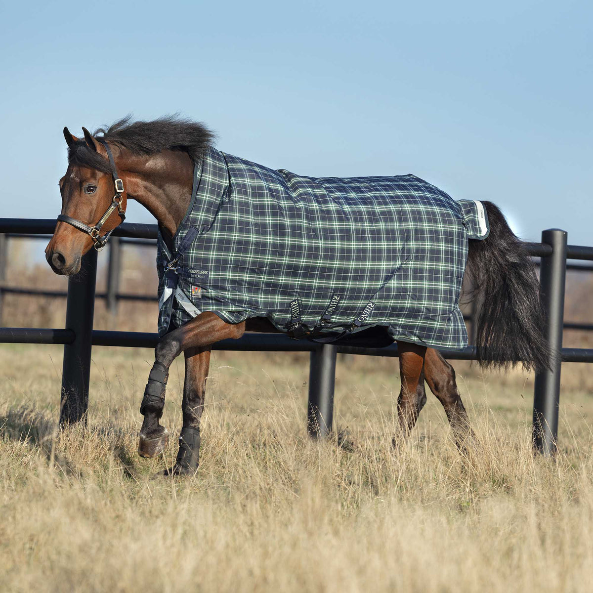 Rhino Wug with Vari-Layer Turnout Horse Blanket — Lambert Vet Supplies