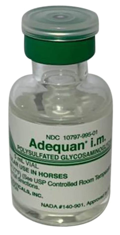 Rx Adequan for Horses, 500mg/5l — Lambert Vet Supplies
