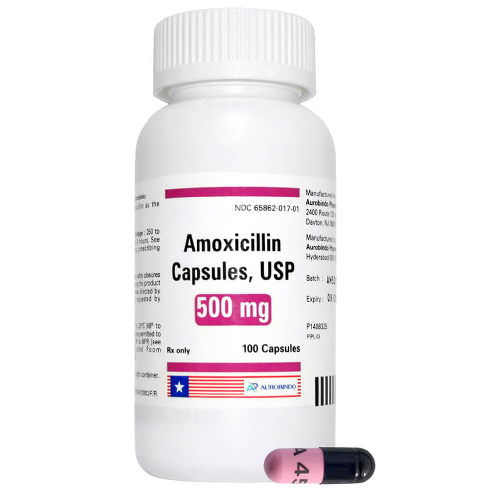 Rx Amoxicillin Capsules for Dogs and Cats — Lambert Vet Supplies