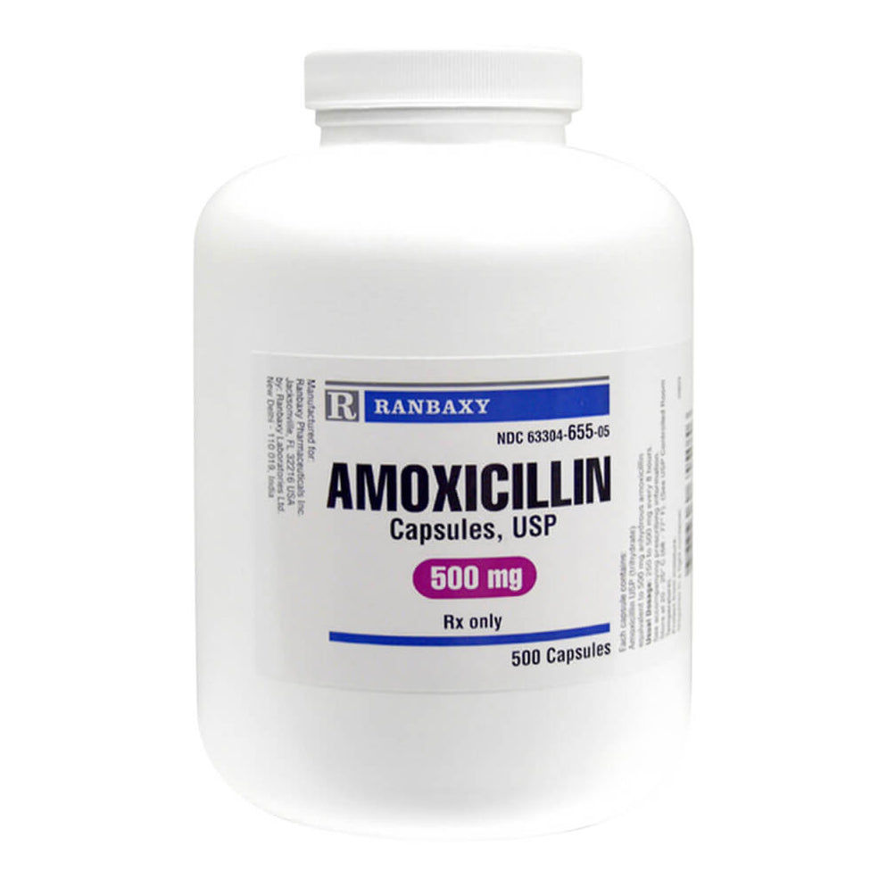 Rx Amoxicillin Capsules for Dogs and Cats — Lambert Vet Supplies