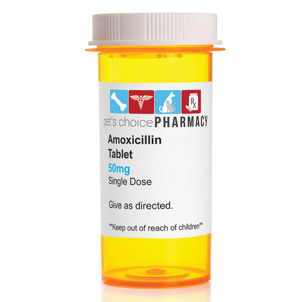 Rx Amoxicillin Tablets for Dogs and Cats — Lambert Vet Supplies
