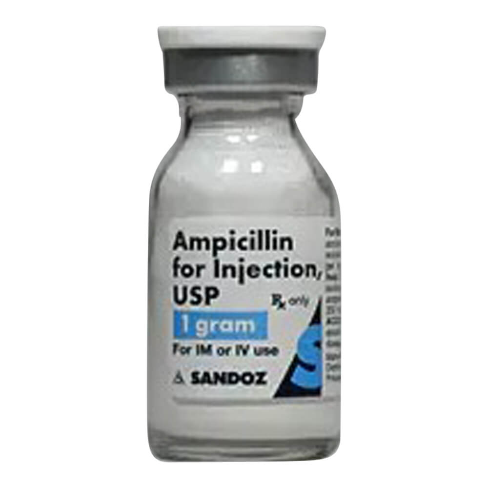 Rx Ampicillin Injection for Dogs, Cats & Horses, 1 gm — Lambert Vet ...