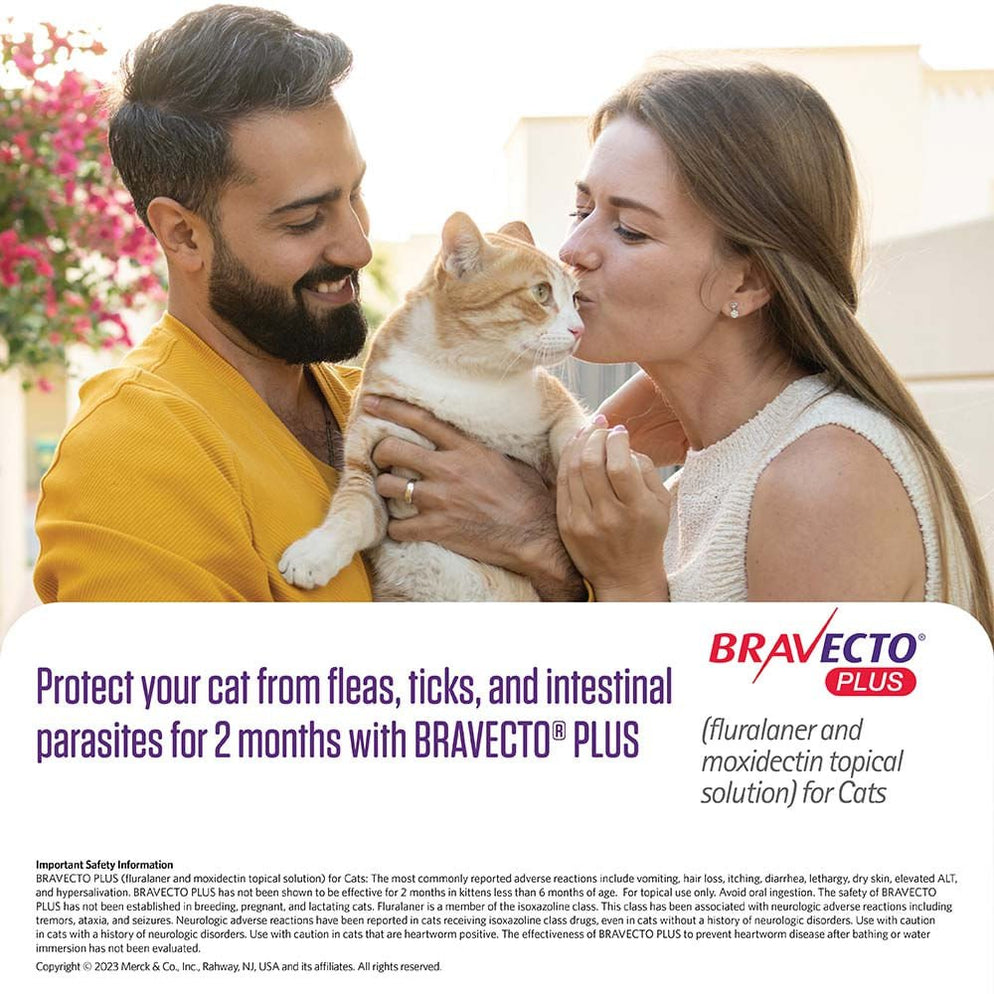 BRAVECTO Plus Topical Solution for Cats — Lambert Vet Supplies