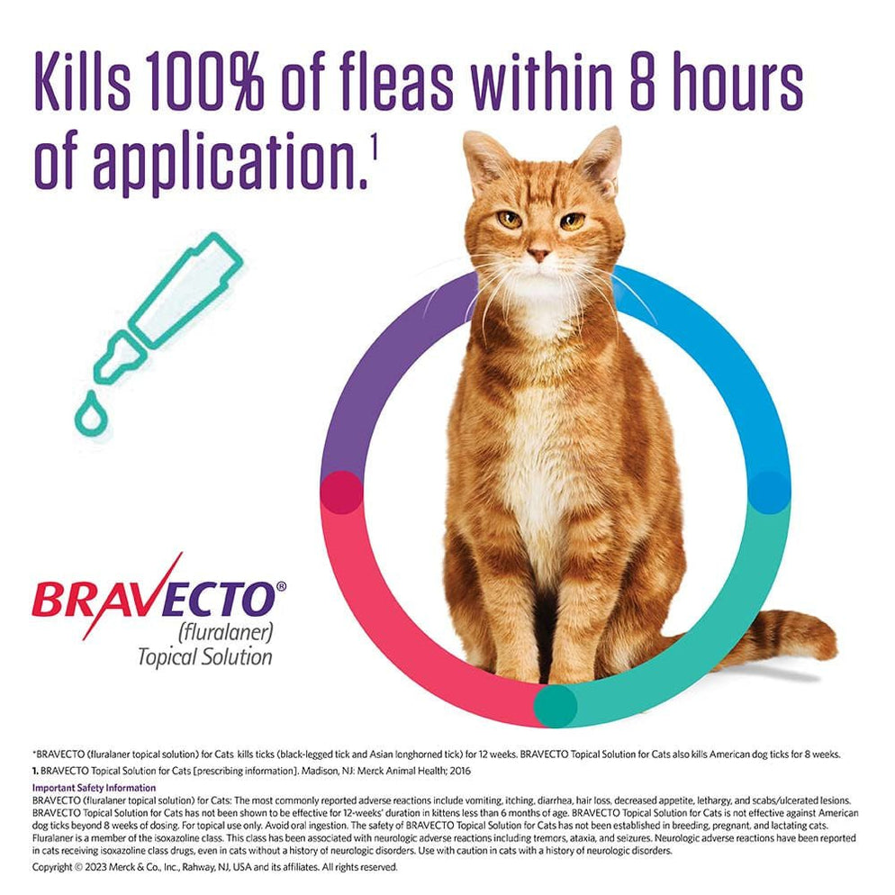 Rx BRAVECTO Topical Feline — Lambert Vet Supplies