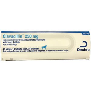 Rx Clavacillin Tablets (Amoxicillin Trihydrate/Clavulanate Potassium ...