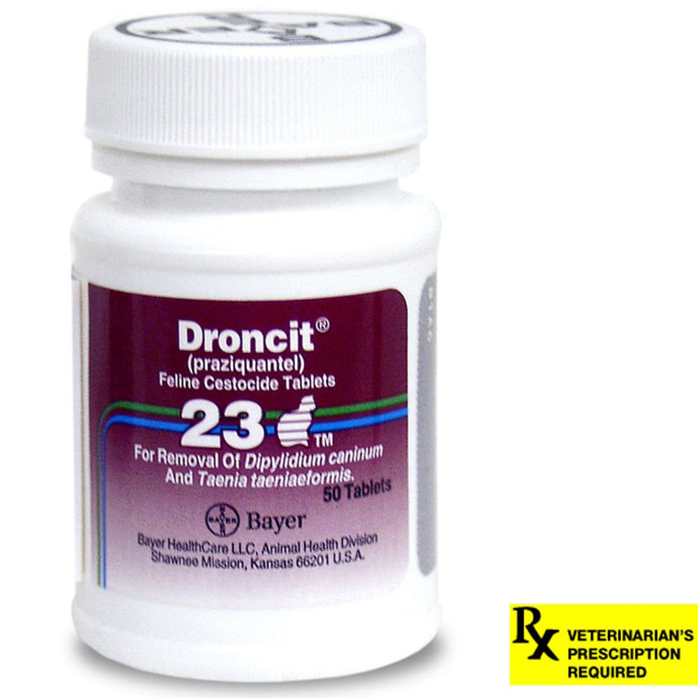 Droncit for Cats — Lambert Vet Supplies
