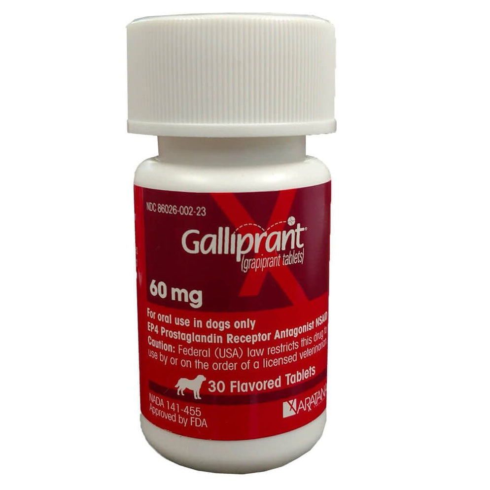 Rx Galliprant for Dogs by Pet's Choice Pharmacy — Lambert Vet Supplies