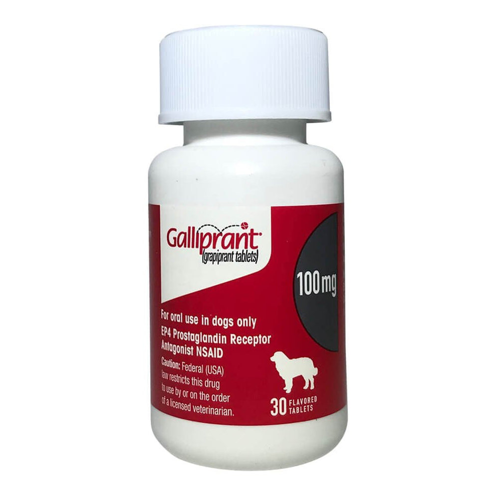 Rx Galliprant for Dogs by Pet's Choice Pharmacy — Lambert Vet Supplies