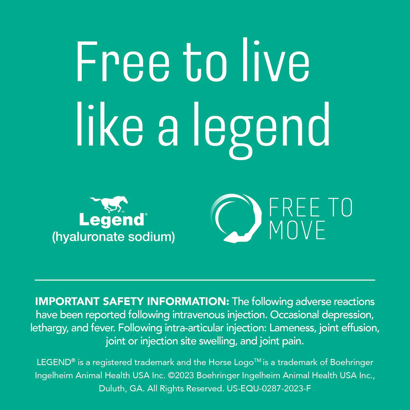 Rx Legend Injectable for Horse Joint Health — Lambert Vet Supplies