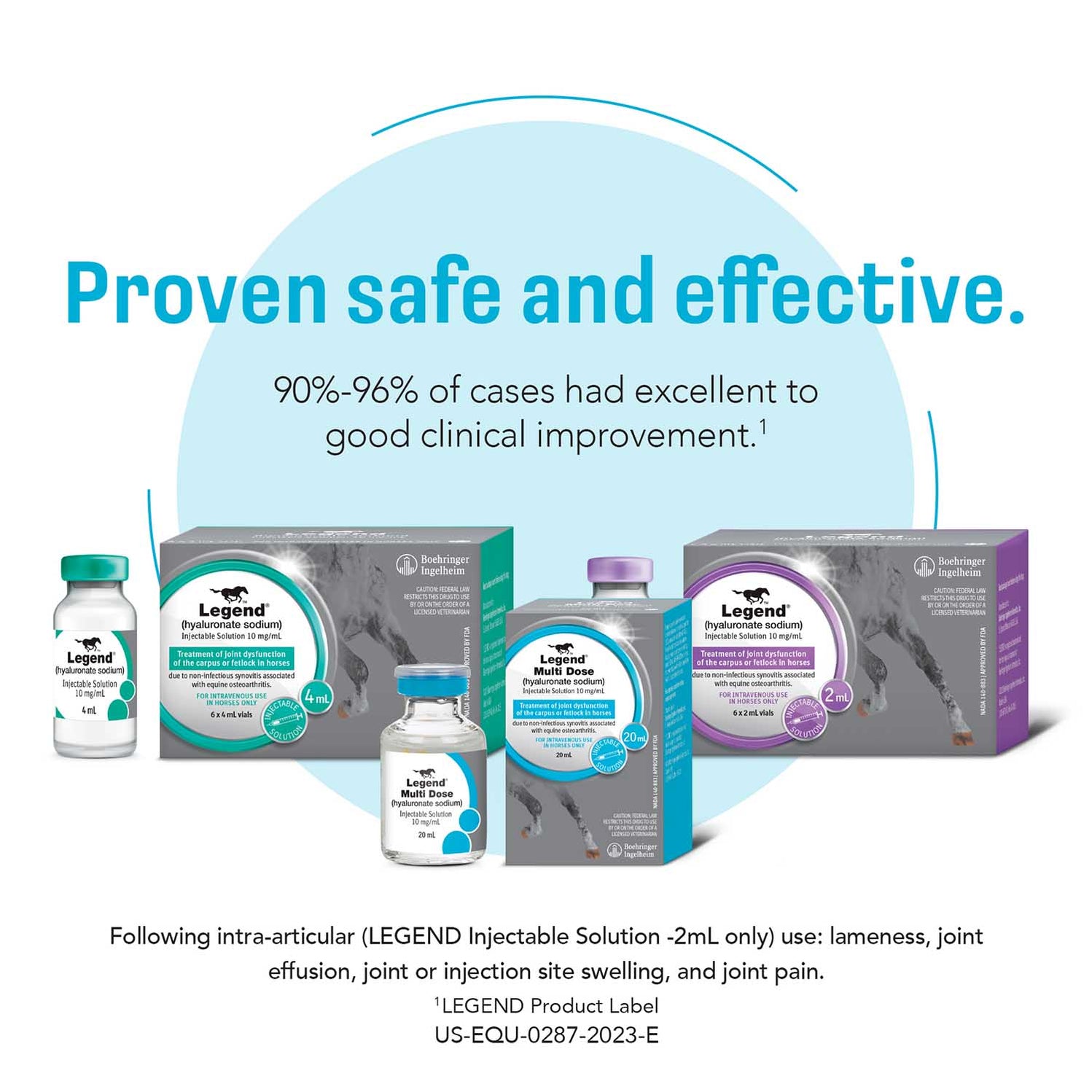 Rx Legend Injectable for Horse Joint Health — Lambert Vet Supplies