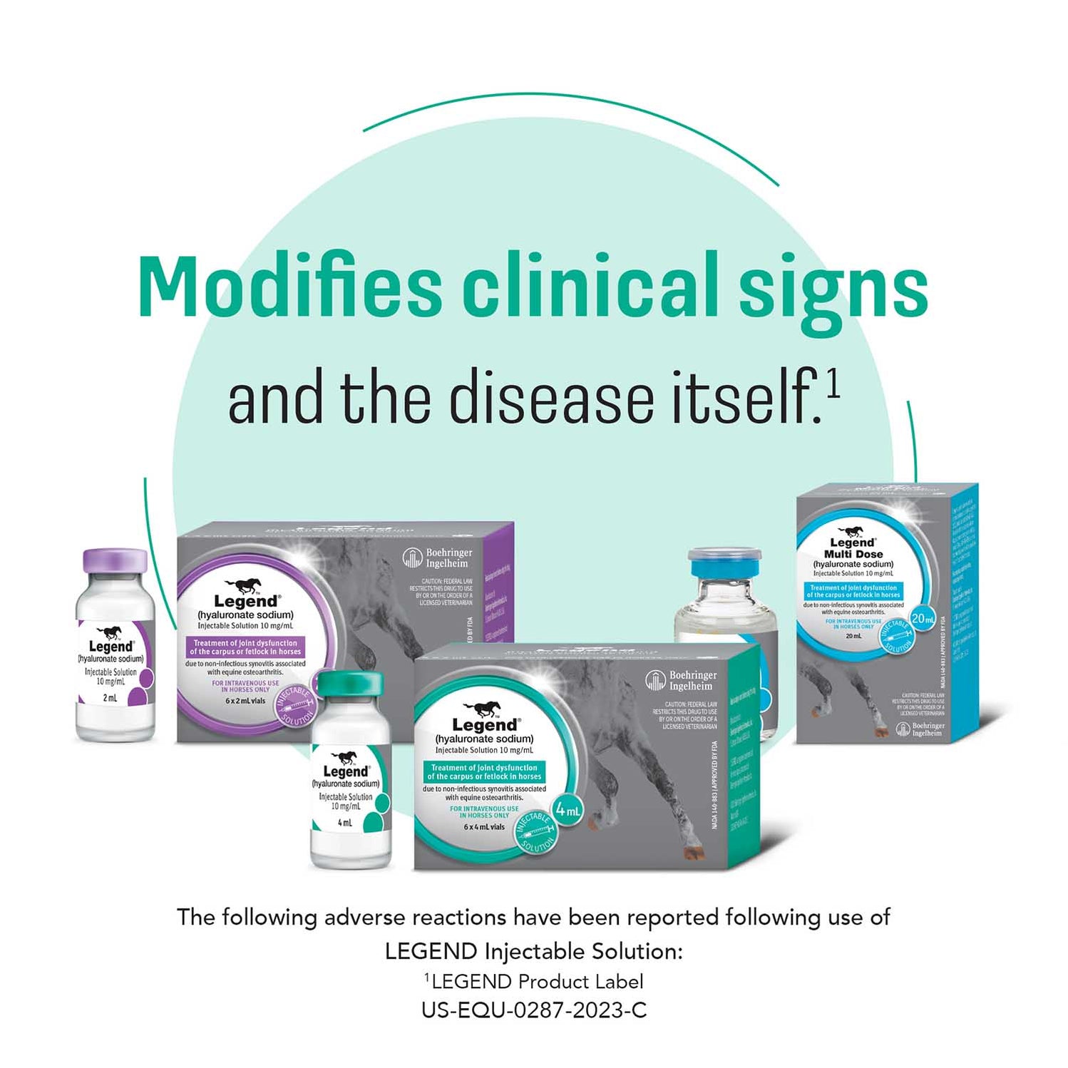 Rx Legend Injectable for Horse Joint Health — Lambert Vet Supplies