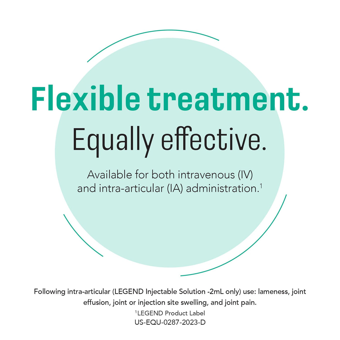 Rx Legend Injectable for Horse Joint Health — Lambert Vet Supplies