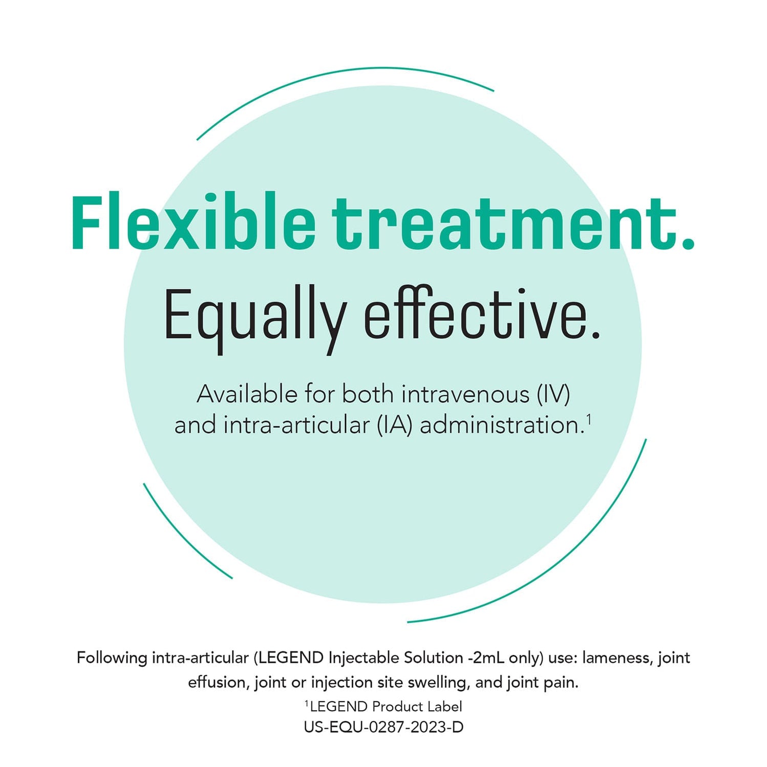 Rx Legend Injectable for Horse Joint Health — Lambert Vet Supplies