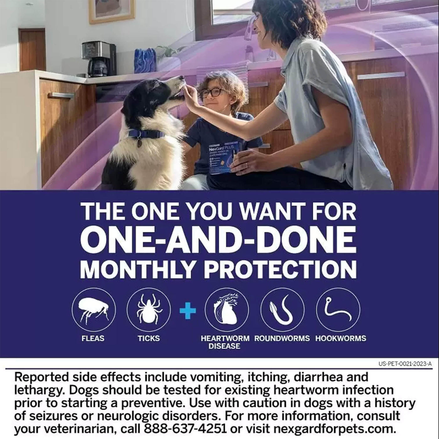 Nexgard Plus for dogs — Lambert Vet Supplies