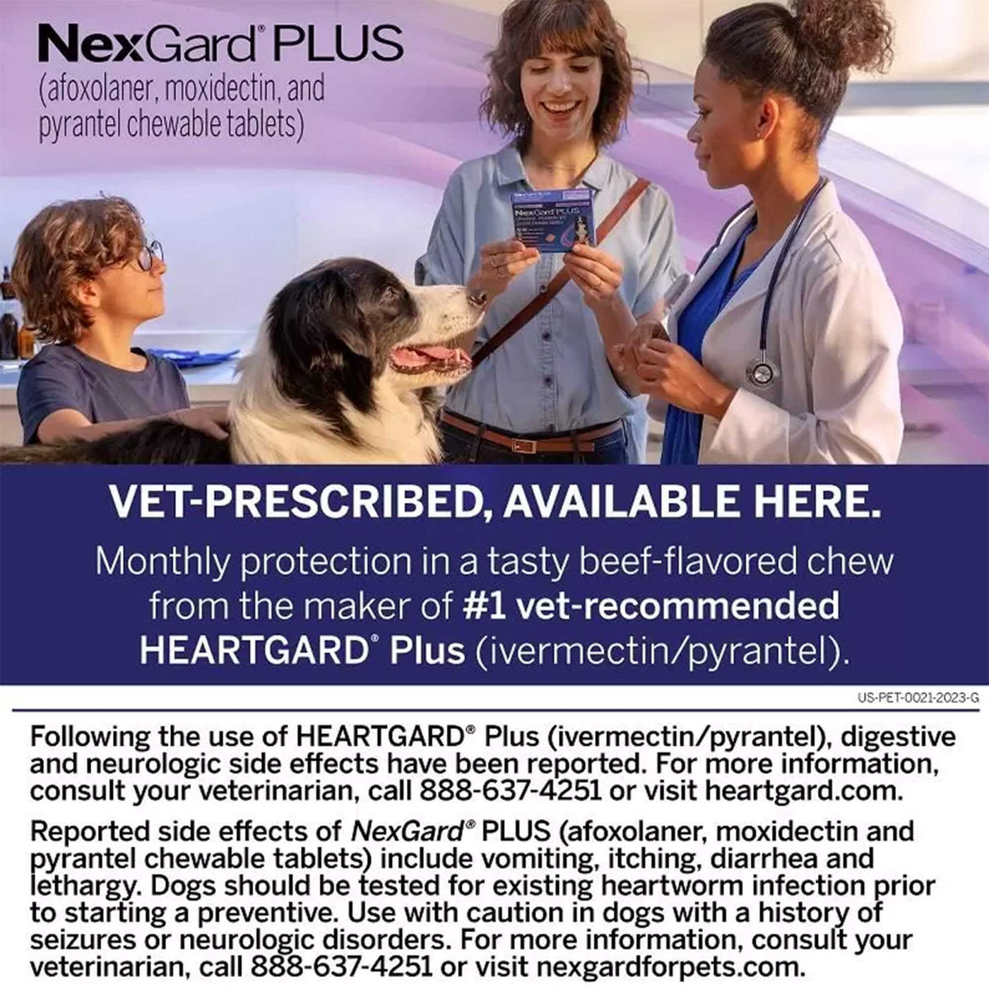 Nexgard Plus for dogs — Lambert Vet Supplies