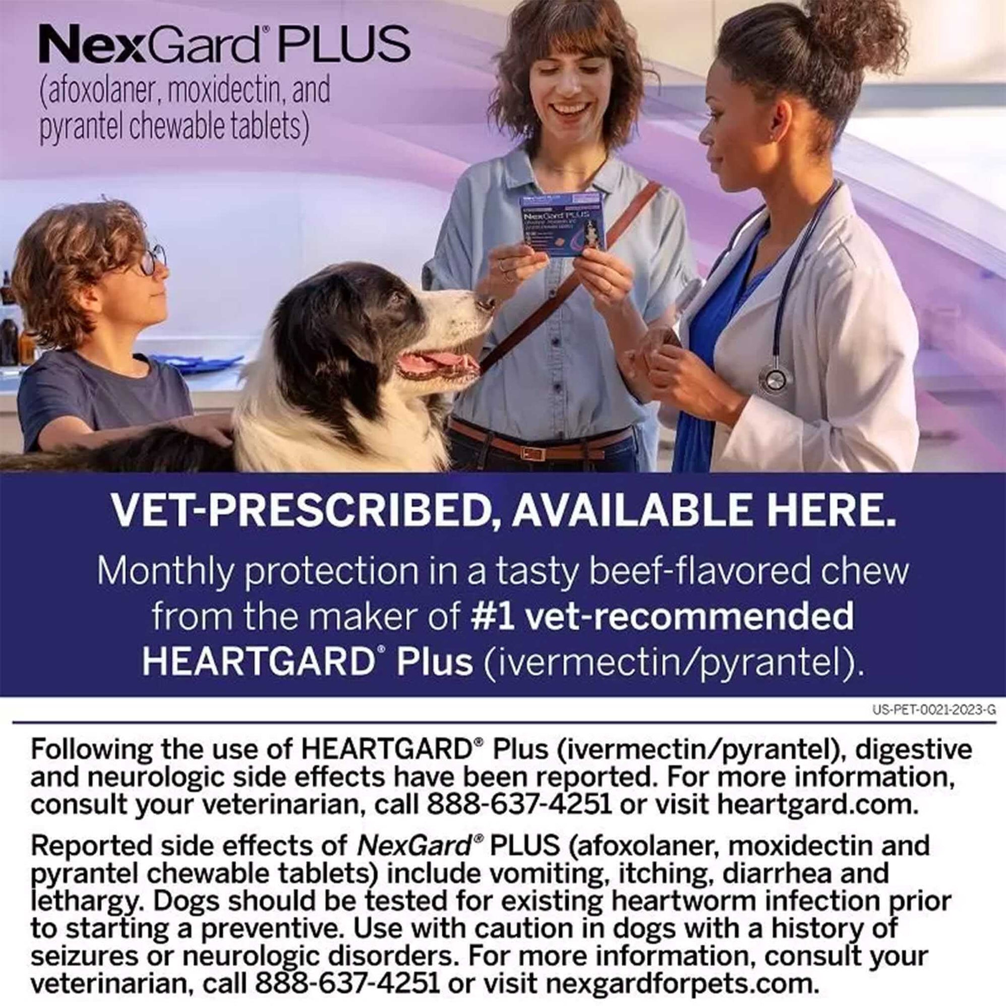 Nexgard Plus for dogs — Lambert Vet Supplies