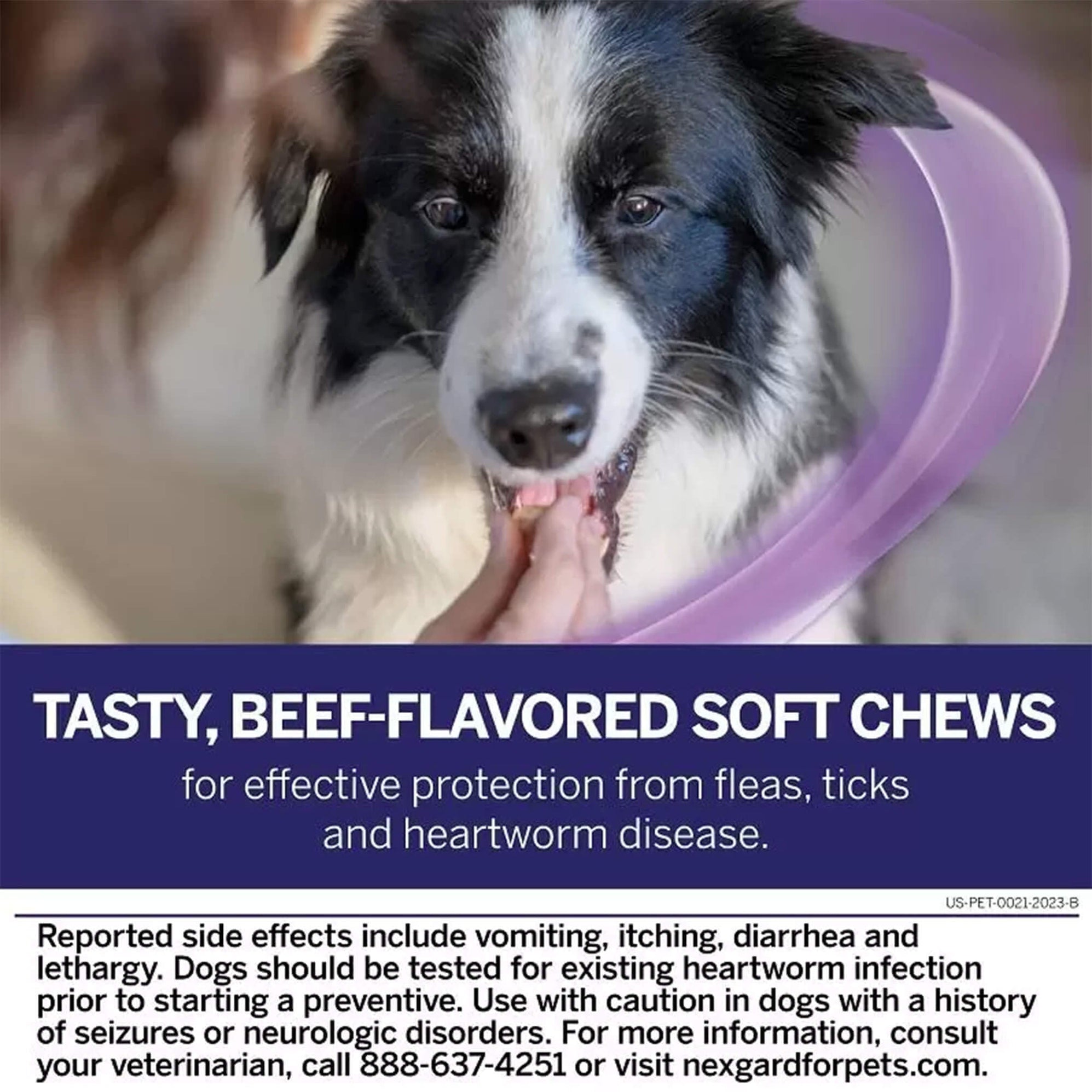 Nexgard Plus for dogs — Lambert Vet Supplies