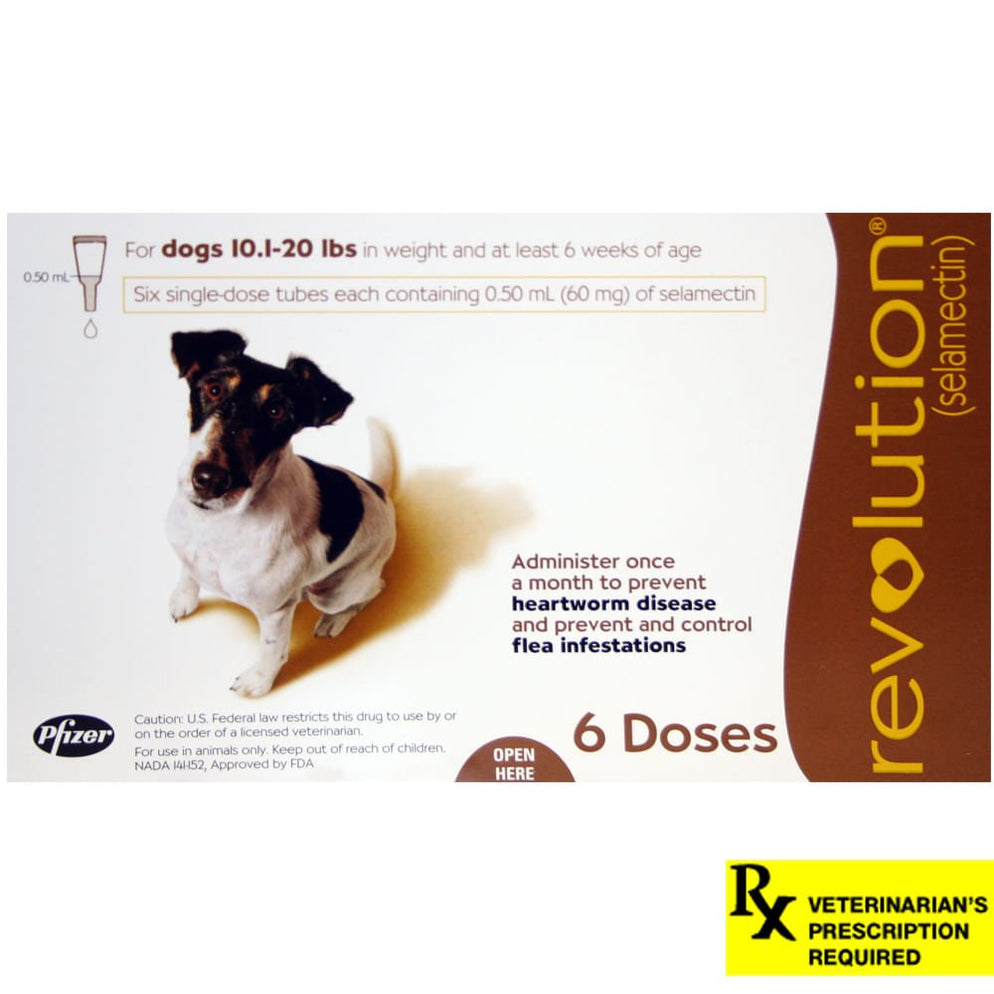 Rx Revolution Canine Flea and Tick Control — Lambert Vet Supplies